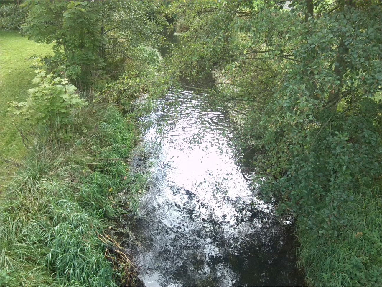1-Taucha Parthe Brücke Leipziger Straße Aufwärts (2) – Arbeitskreis ...
